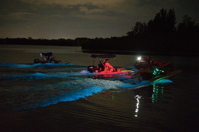Bioluminescence Night Craigcat Tours - Who Will Love This Tour?