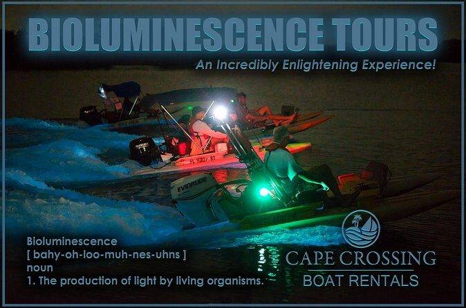 Bioluminescence Night Craigcat Tours - FAQ
