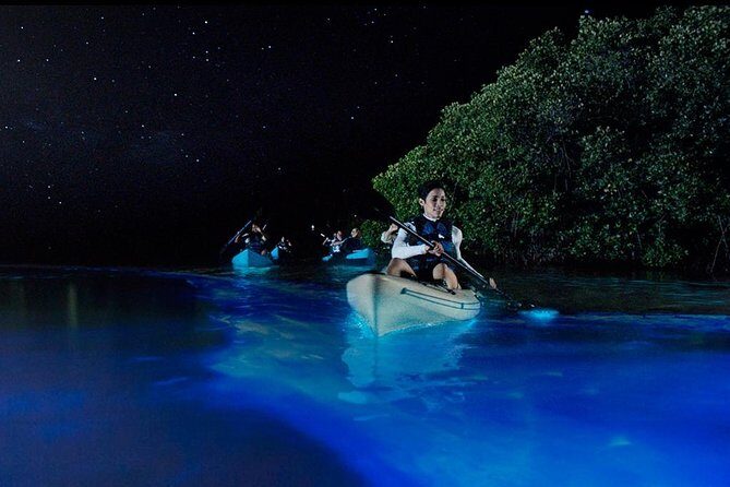 Bioluminescence Night Kayaking Tour of Merritt Island Wildlife Refuge - Who Should Consider This Tour?