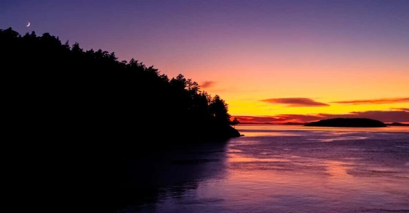 Bioluminescence Night Paddle - Bioluminescence Night Paddle: A Guide to Washington’s Glowing Waters