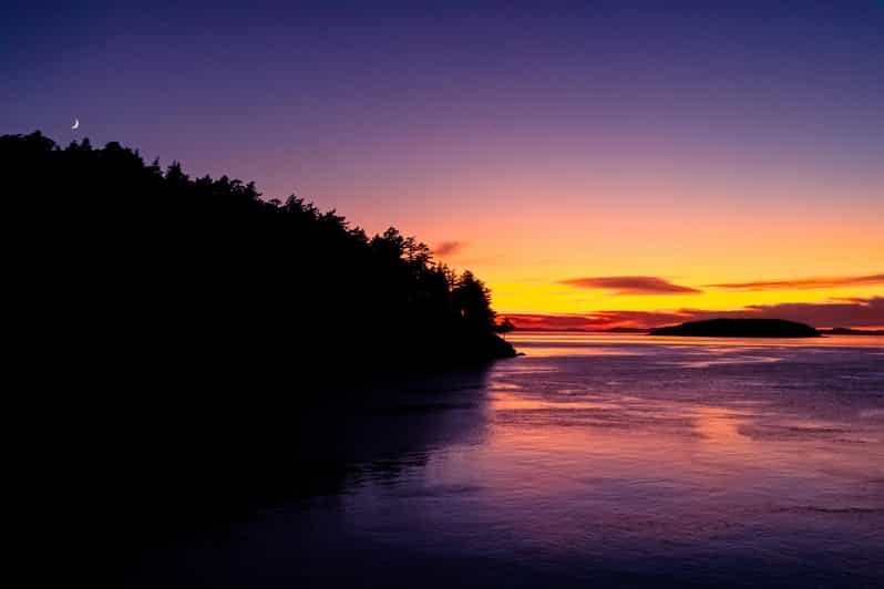 Bioluminescence Night Paddle - The Itinerary: From Sunset to Sparkle