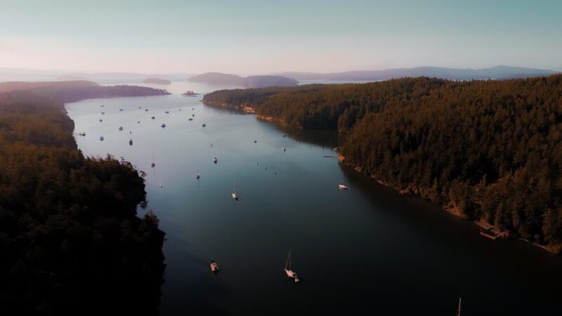 Bioluminescence Night Paddle - Pricing and Value