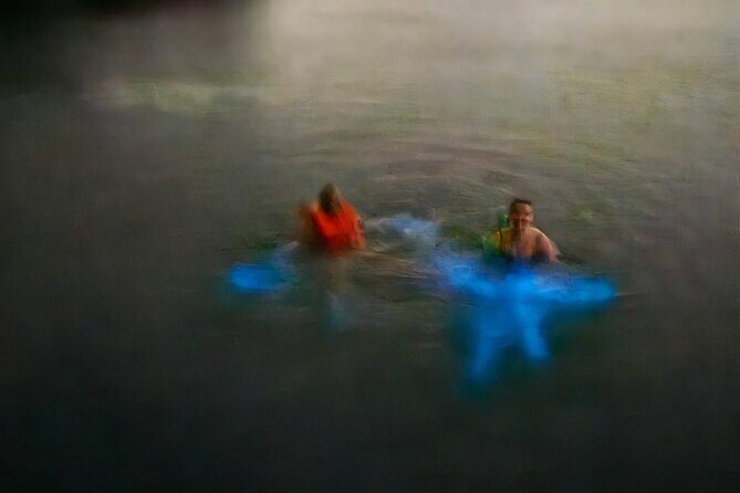 Bioluminescence Tour - The Experience: What to Expect on the Bioluminescence Tour