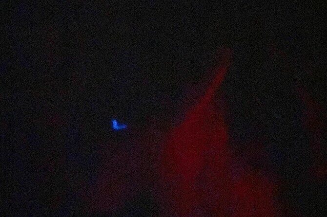 Bioluminescence Tour in Punta Cocos Holbox - FAQ