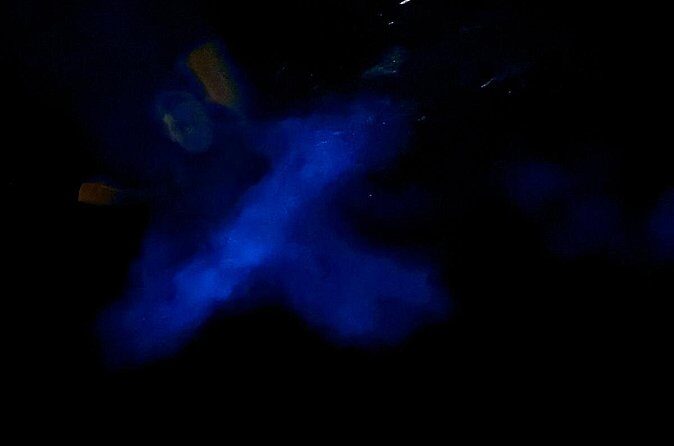 Bioluminescent Bay Boat Charter in Grand Cayman - An In-Depth Look at the Bioluminescent Bay Boat Tour