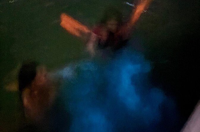 Bioluminescent Bay Boat Charter in Grand Cayman - Frequently Asked Questions