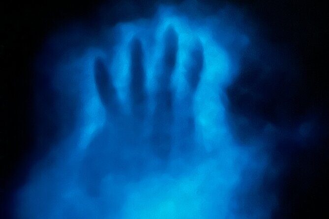 Bioluminescent Bay Chiliboats Waterbike Tour in La Parguera - FAQ: Your Questions Answered