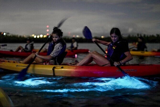 Bioluminescent Bay Kayak Tour in Fajardo Puerto Rico - Key Points