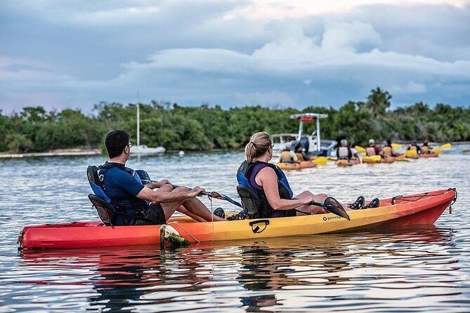 Bioluminescent Bay Kayak Tour in Fajardo Puerto Rico - Final Thoughts: Is This Tour Right for You?