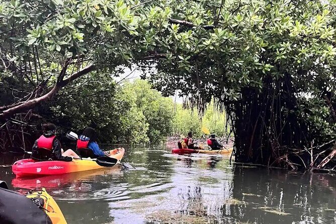 Bioluminescent Bay Kayak Tour in Fajardo Puerto Rico - FAQ