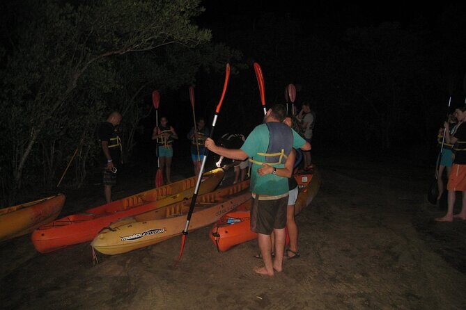 Bioluminescent Bay Kayak Trip from Vieques - Introduction: A Unique Nighttime Adventure in Vieques