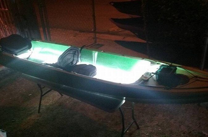 Bioluminescent Bay Kayak Trip from Vieques - Important Considerations and Realities