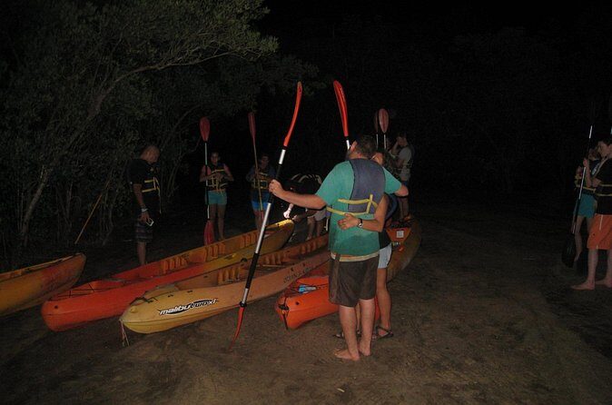 Bioluminescent Bay Kayak Trip from Vieques - The Sum Up: Who Will Love This Tour