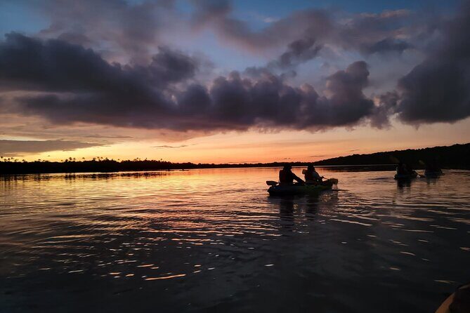 Bioluminescent Bay Night Kayaking Adventure in Puerto Rico - What to Expect on the Tour