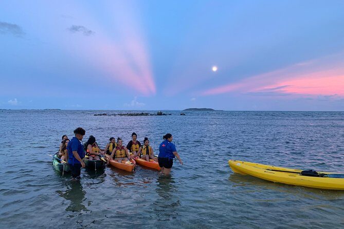 Bioluminescent Bay Night Kayaking, Fajardo - Exploring the Bioluminescent Bay Night Kayaking Tour in Fajardo