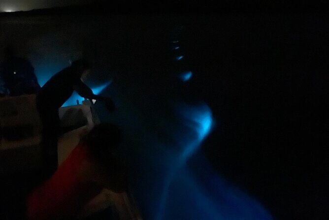 Bioluminescent Boat Tour in Mosquito Bay, Vieques - The Value Proposition: Is It Worth It?