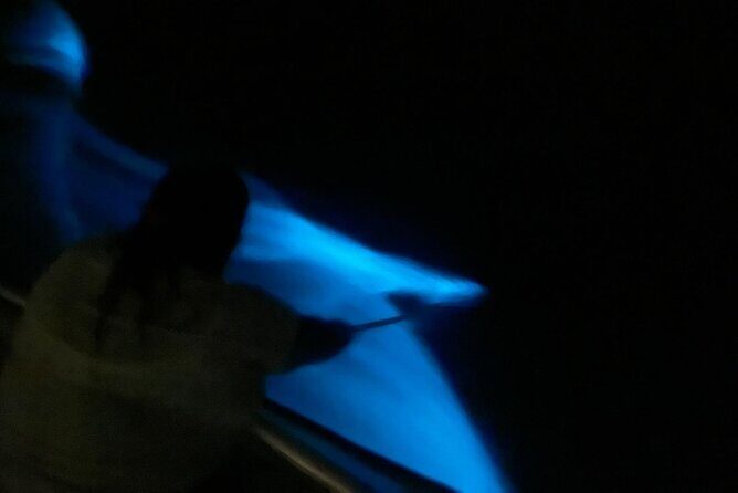 Bioluminescent Boat Tour in Mosquito Bay, Vieques - FAQ: Practical Questions Answered