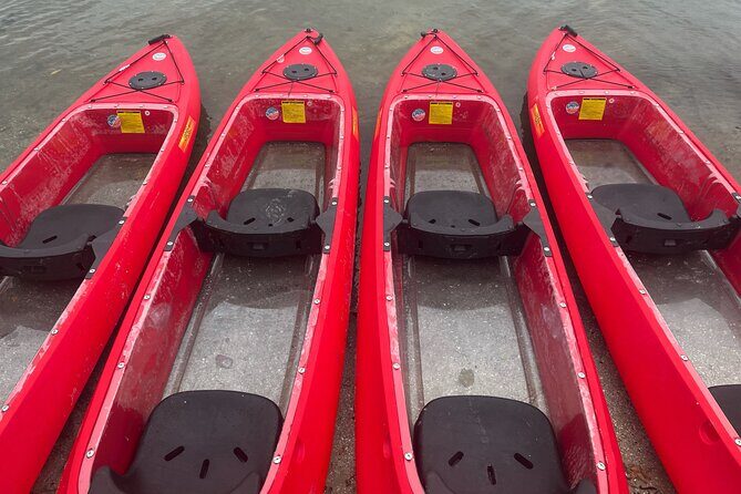 Bioluminescent Clear Bottom Kayak or Paddleboard Sit-On-Top Kayak Hybrid Tour! - Navigating the Itinerary: What to Expect