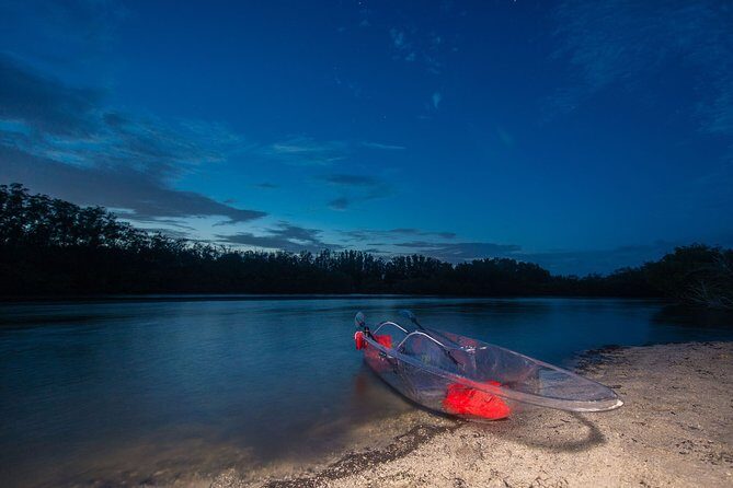 Bioluminescent Clear Kayak Tours in Titusville - An Honest Look at the Experience