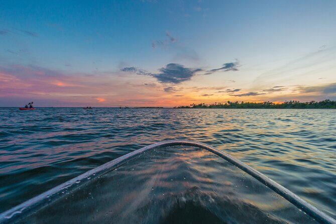 Bioluminescent Clear Kayak Tours in Titusville - FAQs About the Bioluminescent Clear Kayak Tours