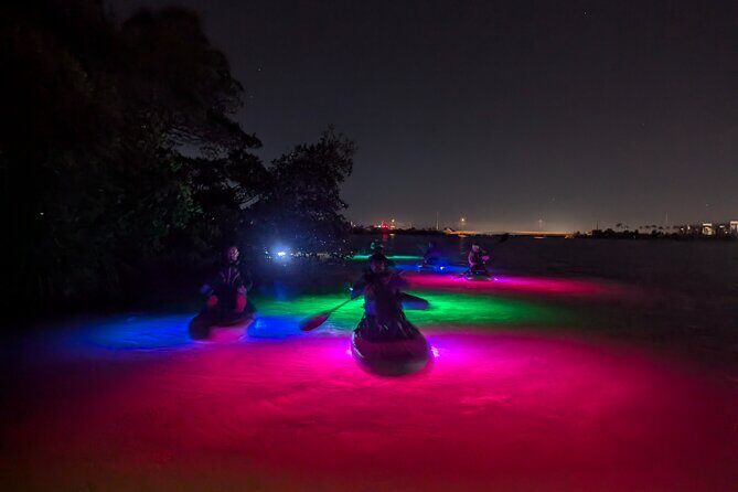 Bioluminescent Comb Jelly & LED Kayak / Paddle board Excursion - Key Points