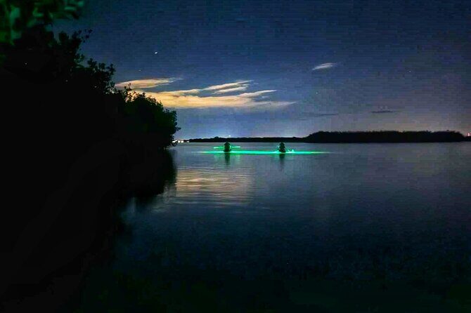 Bioluminescent Comb Jelly & LED Kayak / Paddle board Excursion - Practical Tips