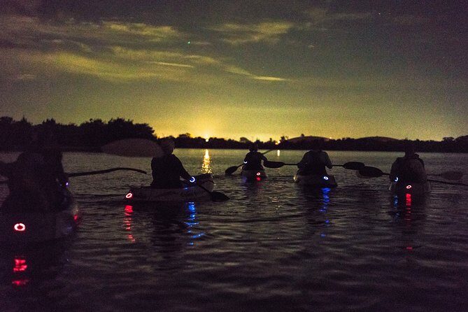 Bioluminescent Kayak Tour by THE #1 Rated Company in Cocoa Beach - FAQ