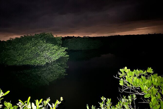 Bioluminescent Kayak Tour in Floridas Indian River Lagoon - What Travelers Are Saying