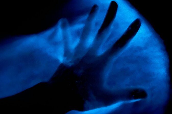 Bioluminescent Kayak Tour in Floridas Indian River Lagoon - Practical Details