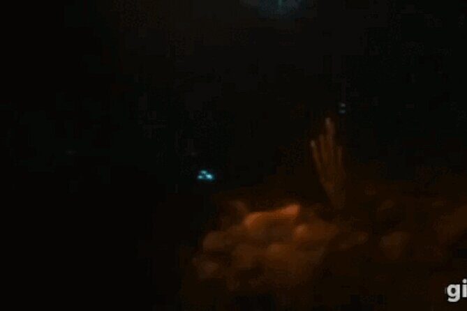 Bioluminescent Night Snorkeling - What We Loved