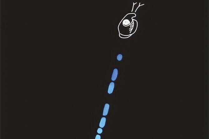 Bioluminescent Night Snorkeling - Who Should Consider This Tour?