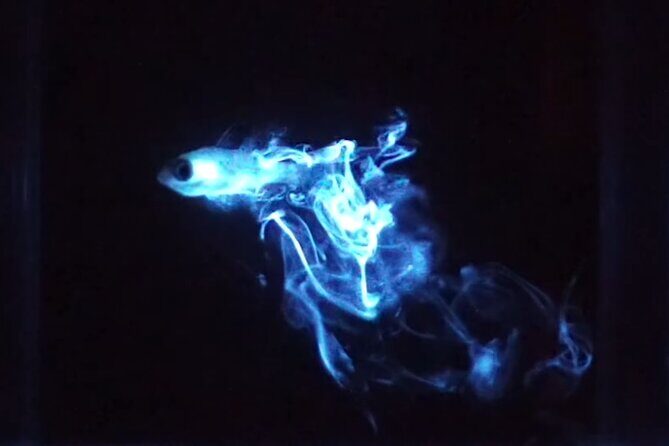 Bioluminescent Night Snorkeling - Final Thoughts