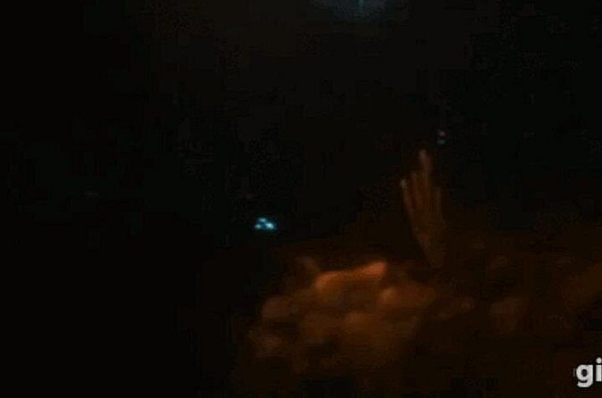 Bioluminescent Night Snorkeling - FAQ