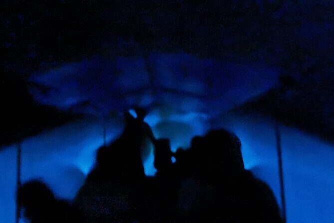 Bioluminescent Night Tour - What the Tour Looks Like: A Step-by-Step Breakdown