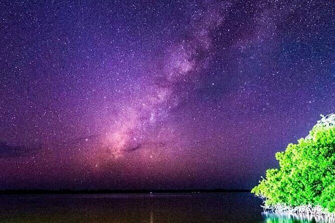 Bioluminescent Night Tour - Summary