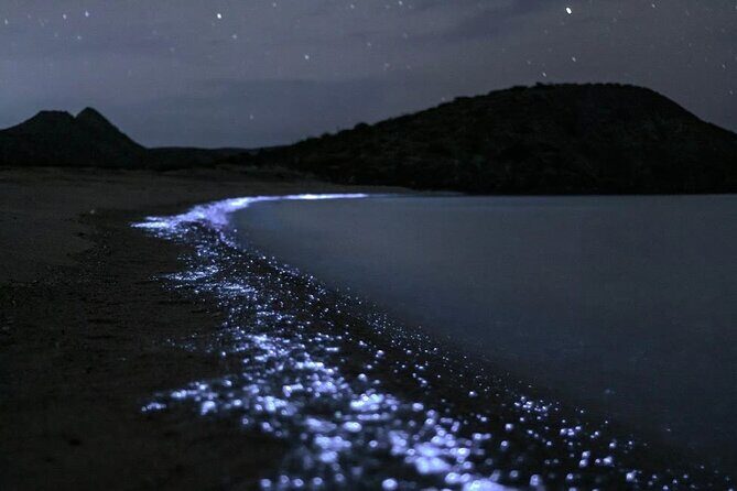Bioluminescent Plankton Kayak Boat Tour - Key Points