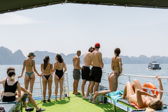 Bioluminescent Plankton Kayak Boat Tour - An Overview of the Experience