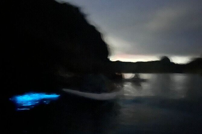 Bioluminescent Plankton Kayak Boat Tour - Kayaking and the Magical Glow of Bioluminescent Plankton