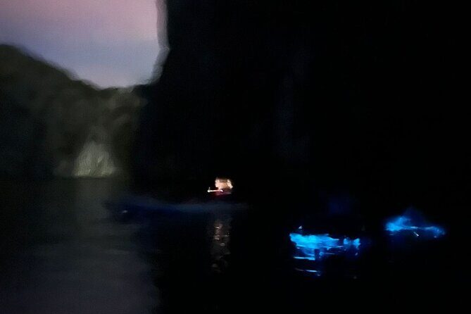 Bioluminescent Plankton Kayak Boat Tour - FAQs