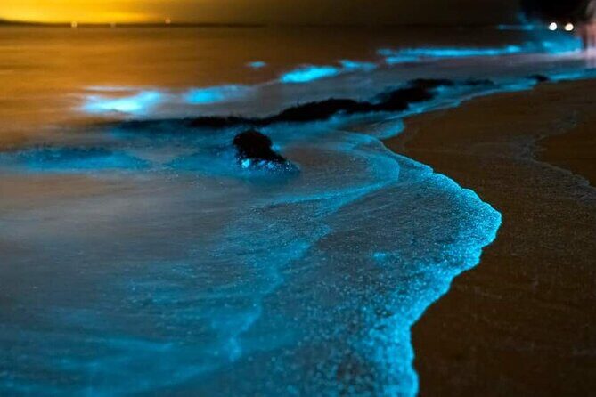 Bioluminescent Plankton, Sea Canoes & Sunset at James Bond Island - An In-Depth Look at the Tour Experience