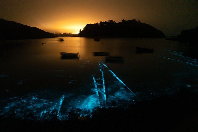 Bioluminescent Swim Experience in West Cork with Storytelling - What to Expect from the BioLuminescent Swim Experience