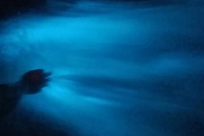 Bioluminiscense Lagoon Tour - What Is the Bioluminiscence Lagoon Tour?
