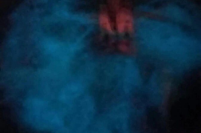 Bioluminiscense Lagoon Tour - FAQs