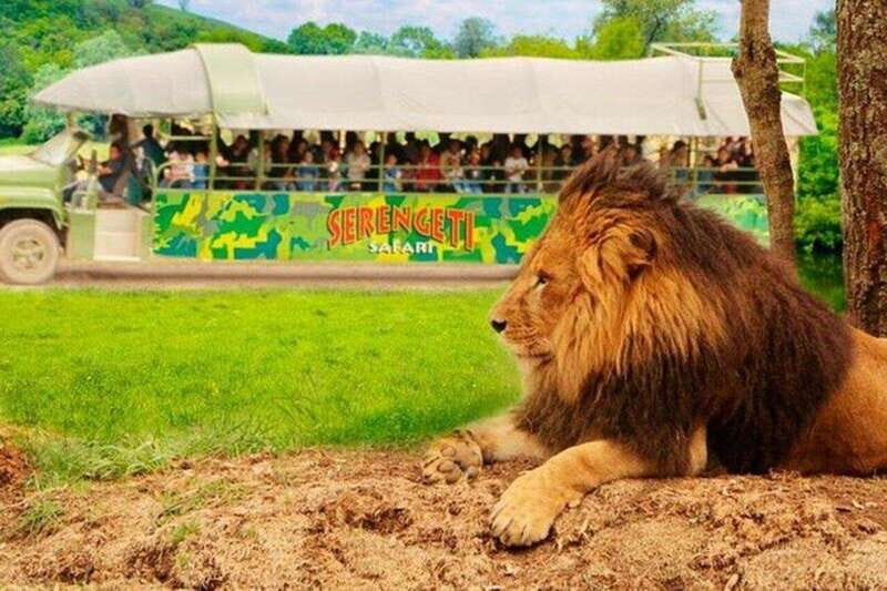 Bioparque Estrella Safari Experience Ticket - A Deep Dive into the Experience