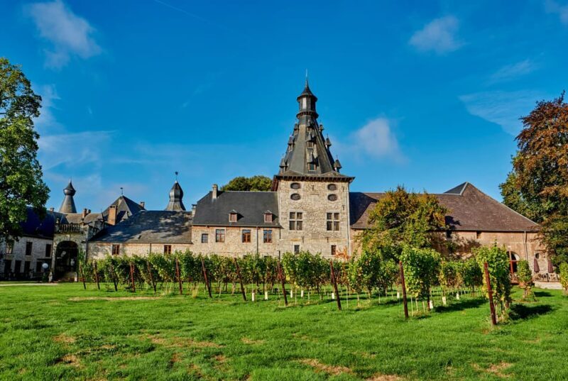 Bioul (near Dinant) : Château de Bioul Tour and Wine Tasting - A Closer Look at the Château de Bioul Experience