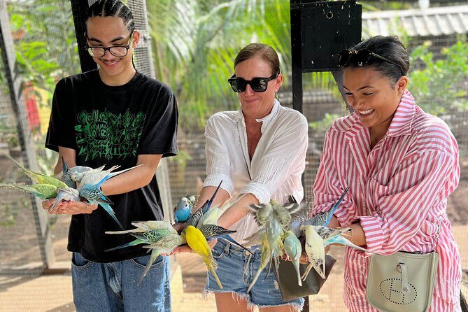 Bird & Animal Encounter in Montego Bay Feed,Hold & Snap Pics! - Final Thoughts: Who Will Love This?