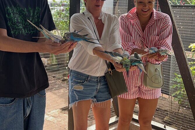 Bird & Animal Encounter in Montego Bay Feed,Hold & Snap Pics! - FAQs