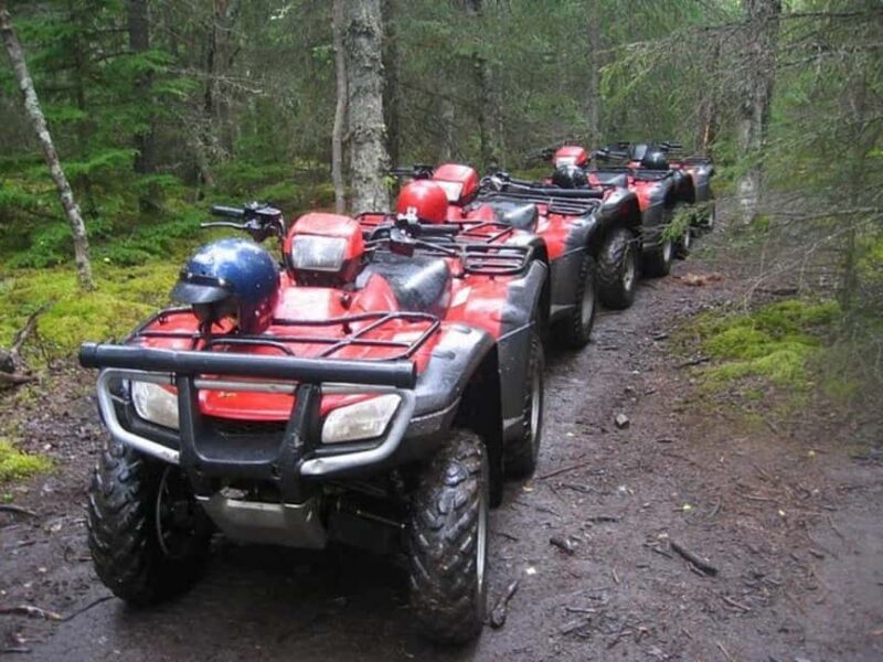 Bird Creek: Chugach State Park ATV Nature Tour & Hike - Bird Creek: Chugach State Park ATV Nature Tour & Hike — A Genuine Alaska Adventure