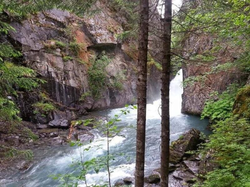 Bird Creek: Chugach State Park ATV Nature Tour & Hike - What the Reviews Say
