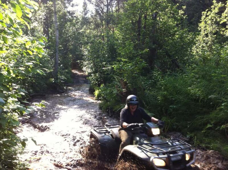 Bird Creek: Chugach State Park ATV Nature Tour & Hike - The Sum Up: A Genuine Alaska Experience for the Active Traveler